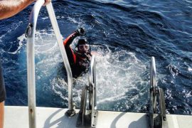 Key West Scuba Diving Refresher Course 2025 | Cool Key West