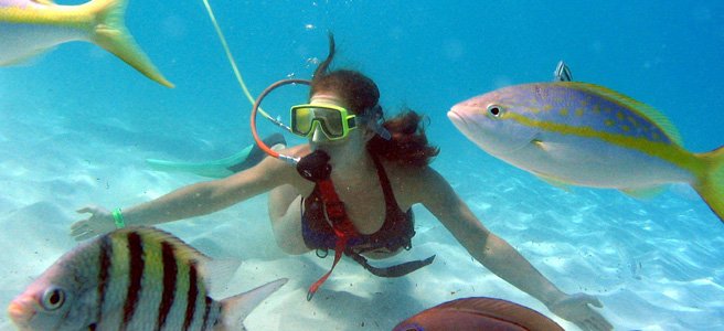 Key West Snuba® (No Dive Certification Required) 2025 | Cool Key West
